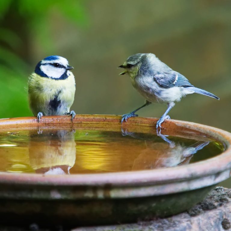 ¿Qué es eso de la Alta Sensibilidad? – Psicosensibles